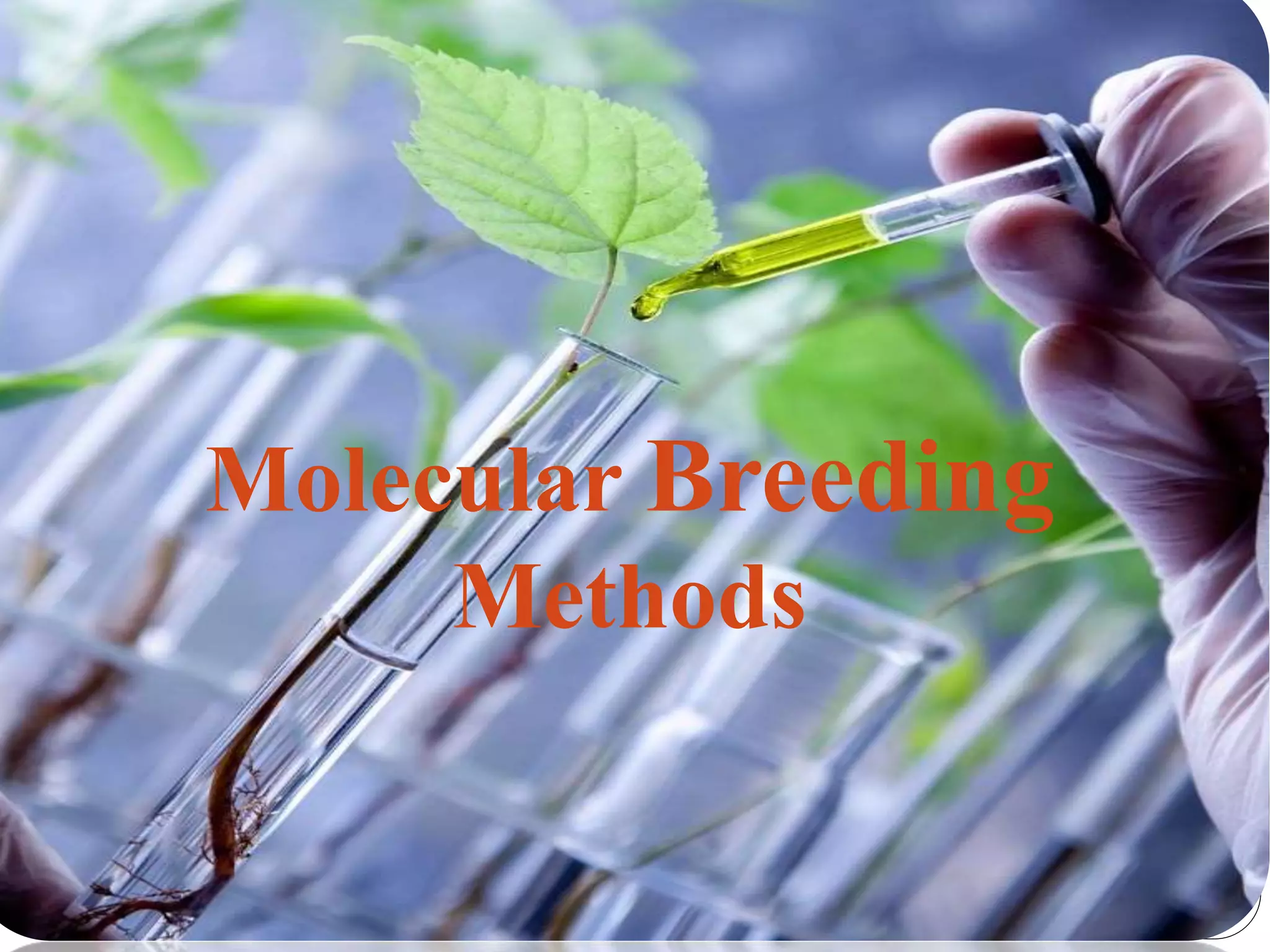 SPEED BREEDING AND ITS IMPLICATIONS IN CROP IMPROVEMENT | PPTX