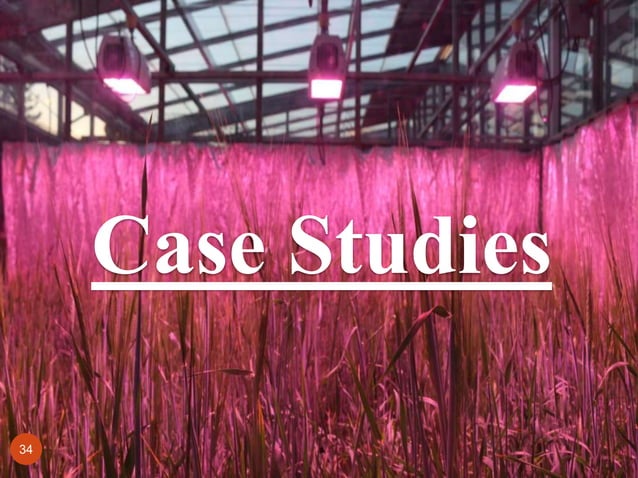 SPEED BREEDING AND ITS IMPLICATIONS IN CROP IMPROVEMENT | PPTX