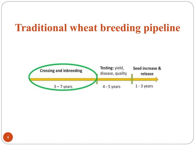 SPEED BREEDING AND ITS IMPLICATIONS IN CROP IMPROVEMENT | PPTX