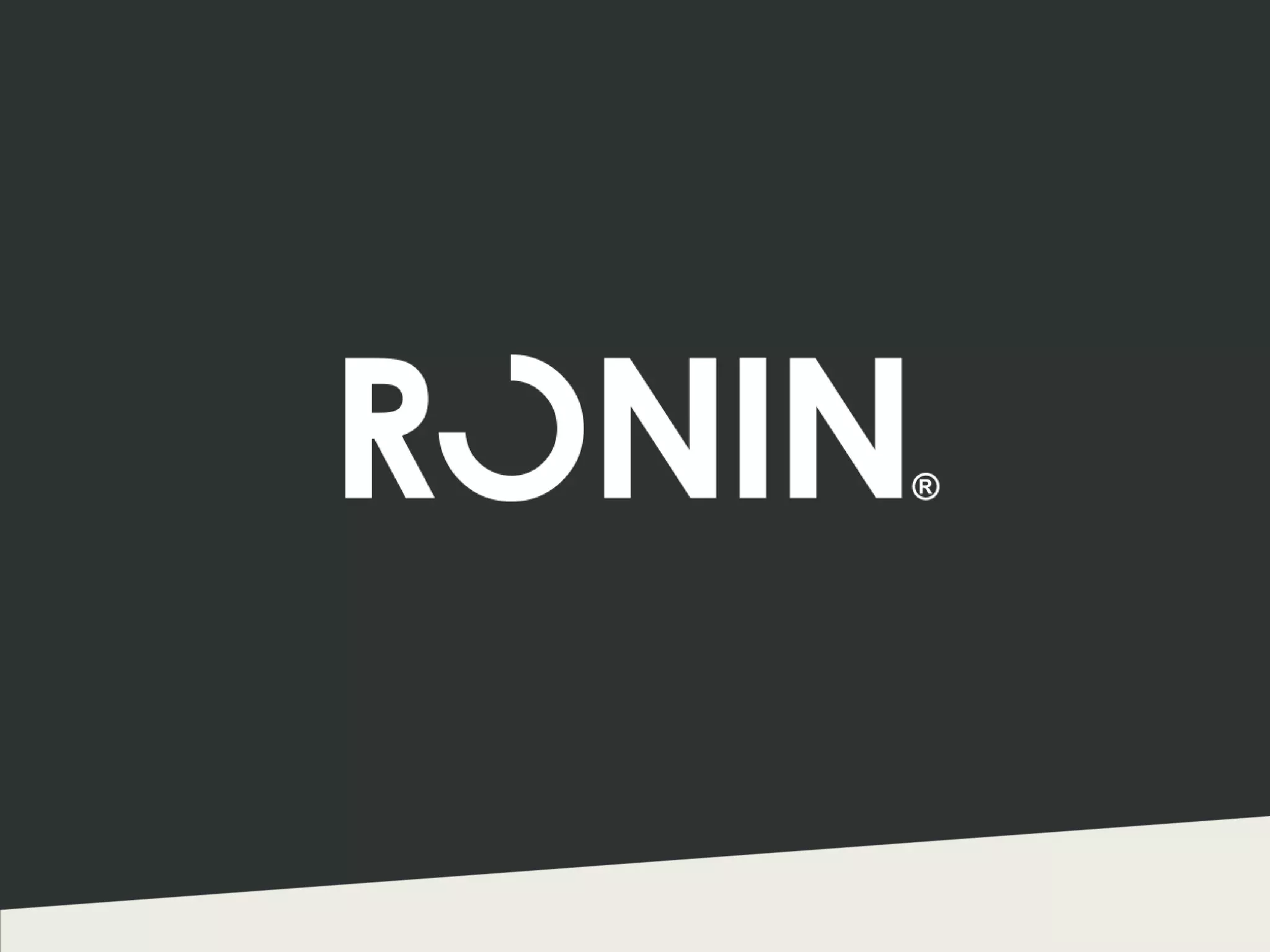 RONIN International Overview 2018 | PDF
