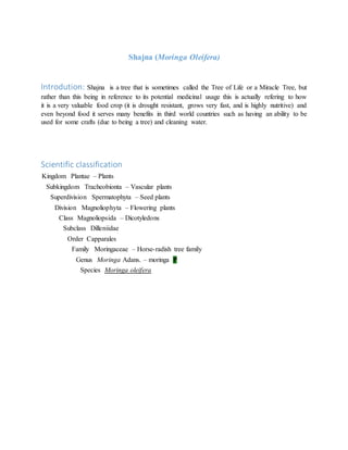 Shajna (Moringa Oleifera) | DOCX | Herbs and Supplements | Alternative ...