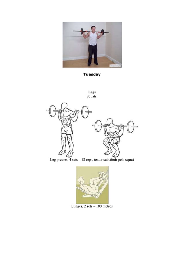 Ronnie coleman training routine myplan | DOCX