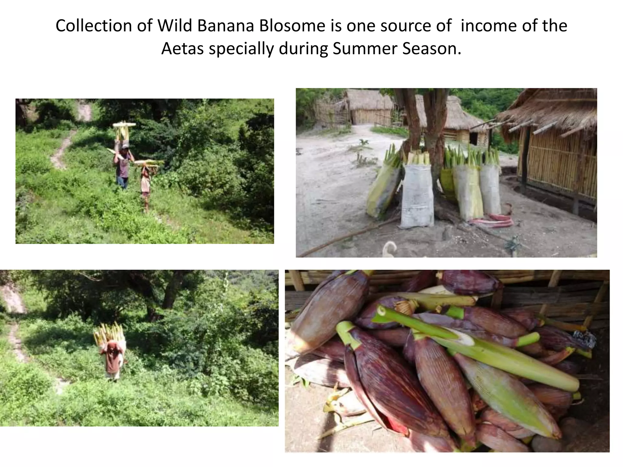 Philippines | Jun-16 | Philippine Good Work Mission Mission Foundation ...