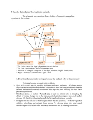 Wetland Ecosystem | DOCX
