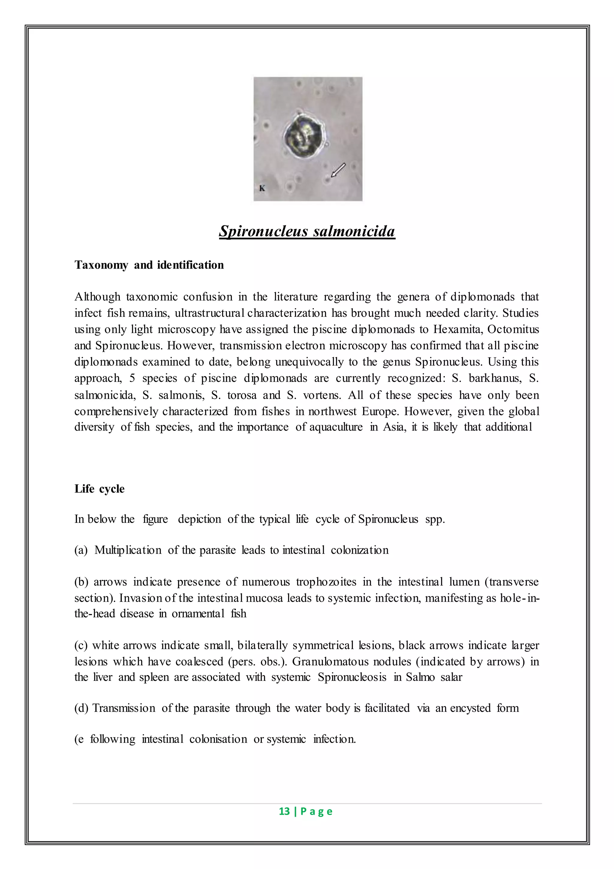 life cycle of protozoan fish parasite | DOCX