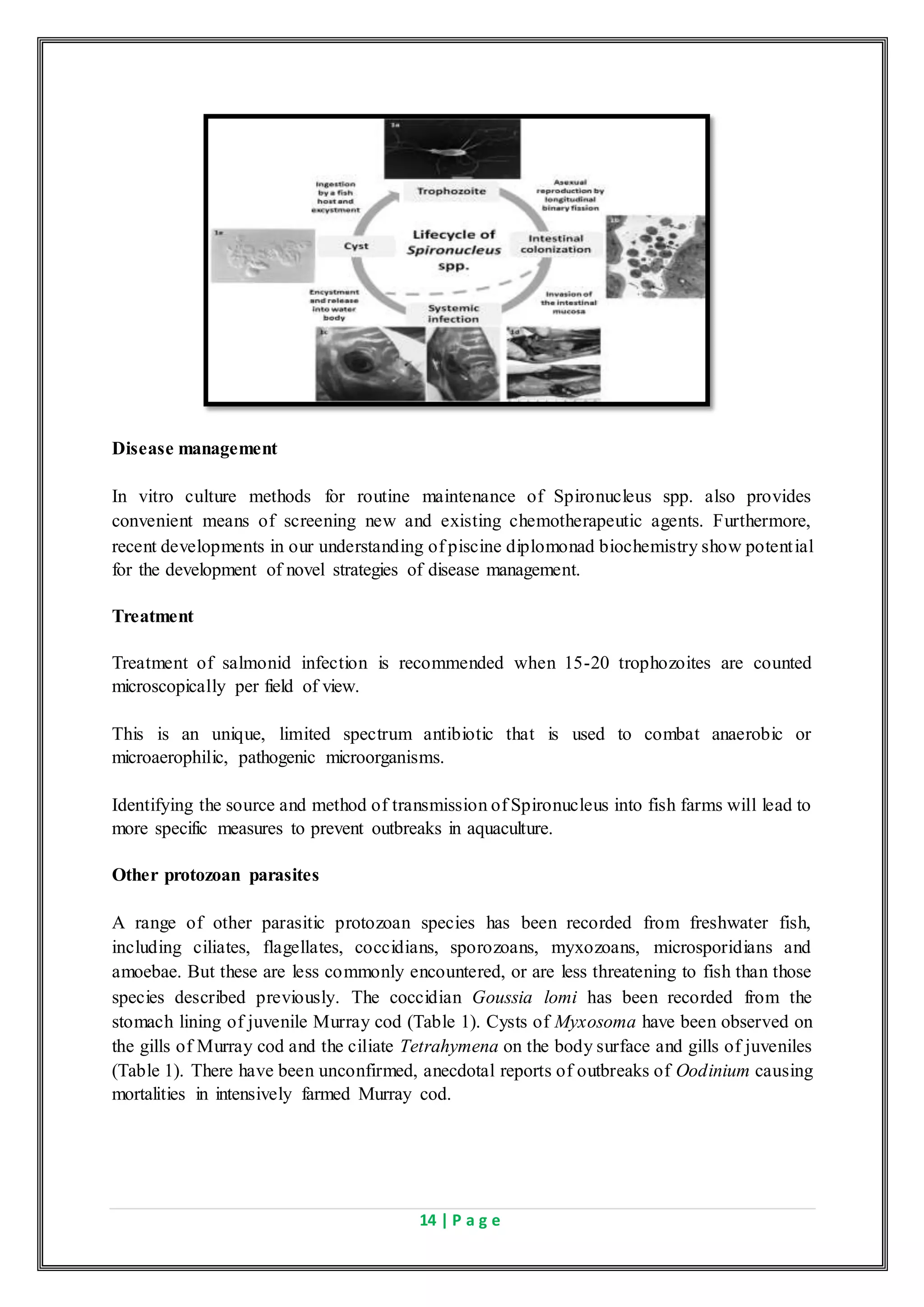 life cycle of protozoan fish parasite | DOCX