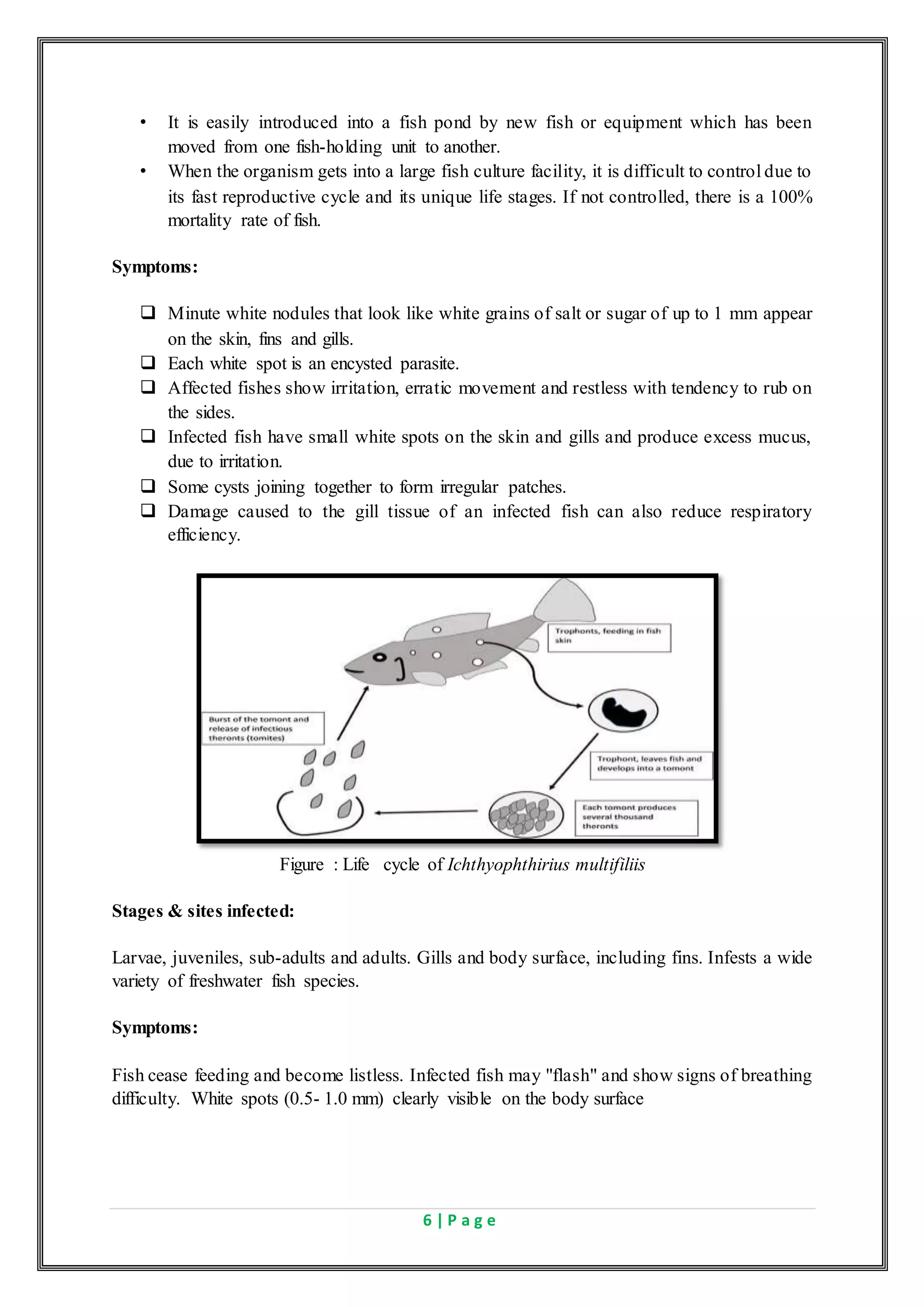 life cycle of protozoan fish parasite | DOCX
