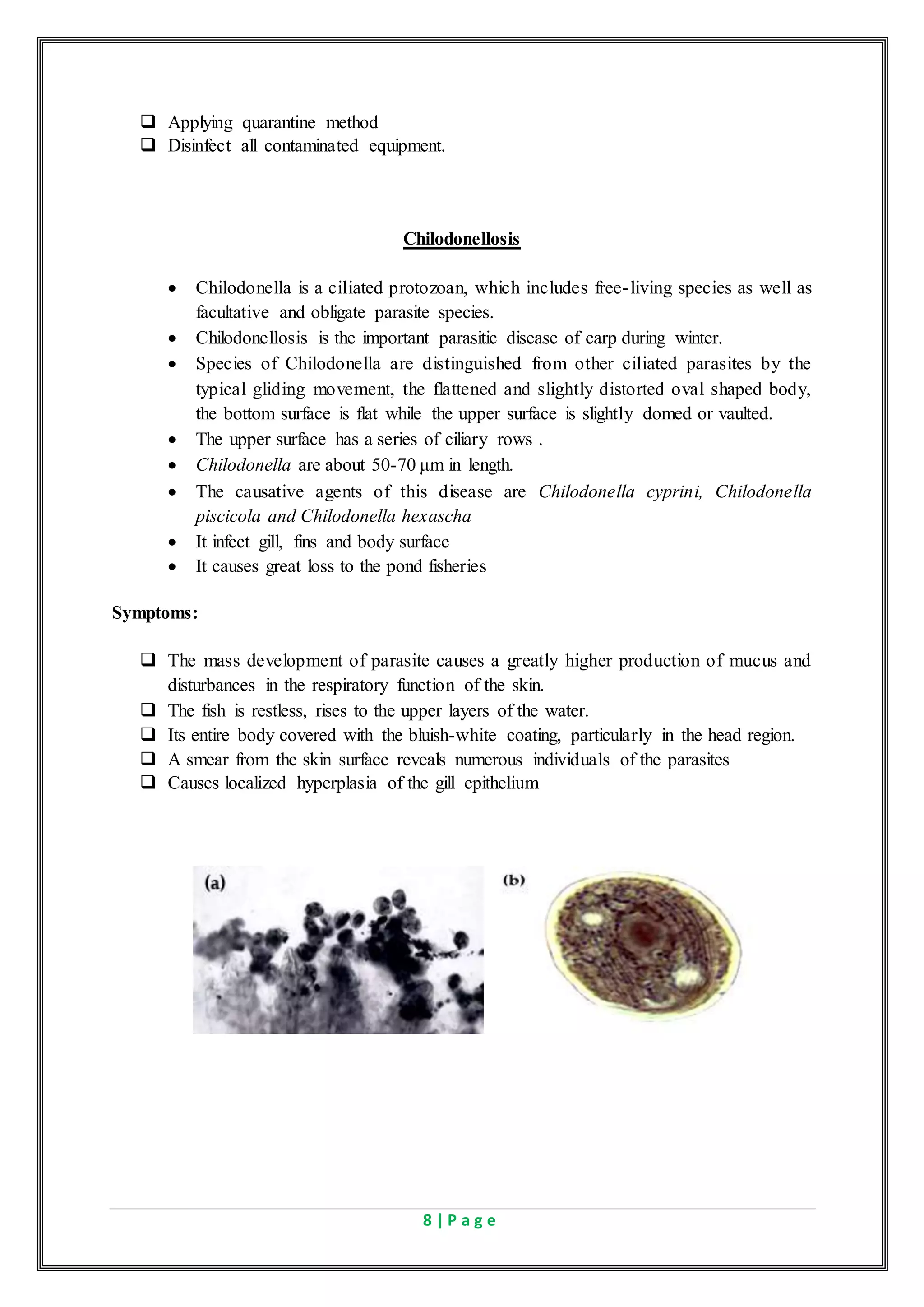 life cycle of protozoan fish parasite | DOCX