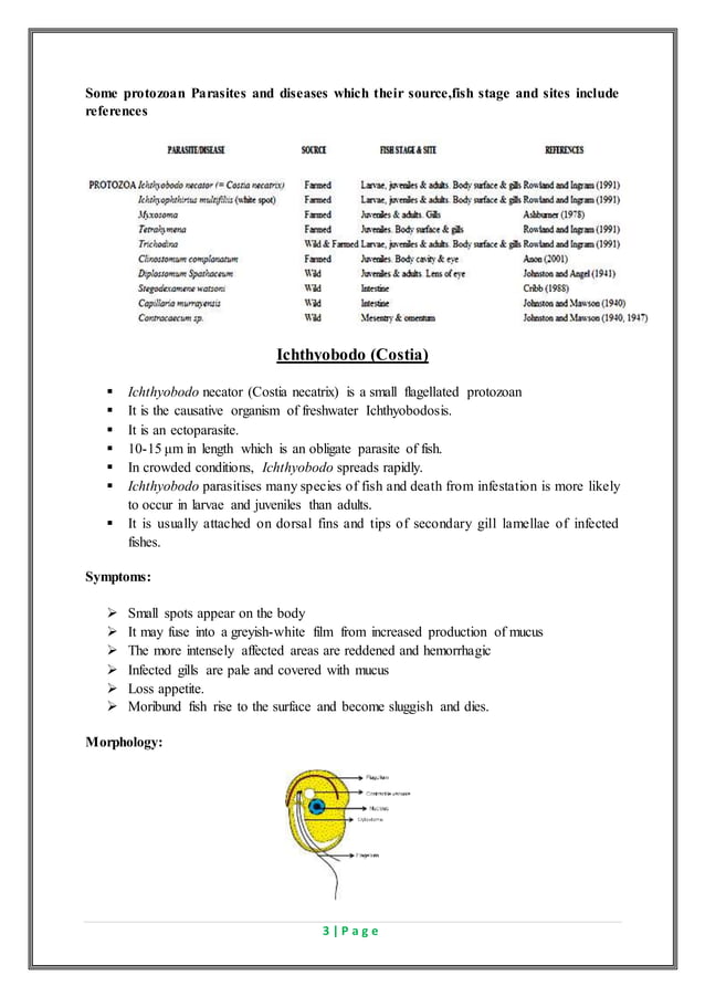 life cycle of protozoan fish parasite | DOCX | Biological Sciences ...