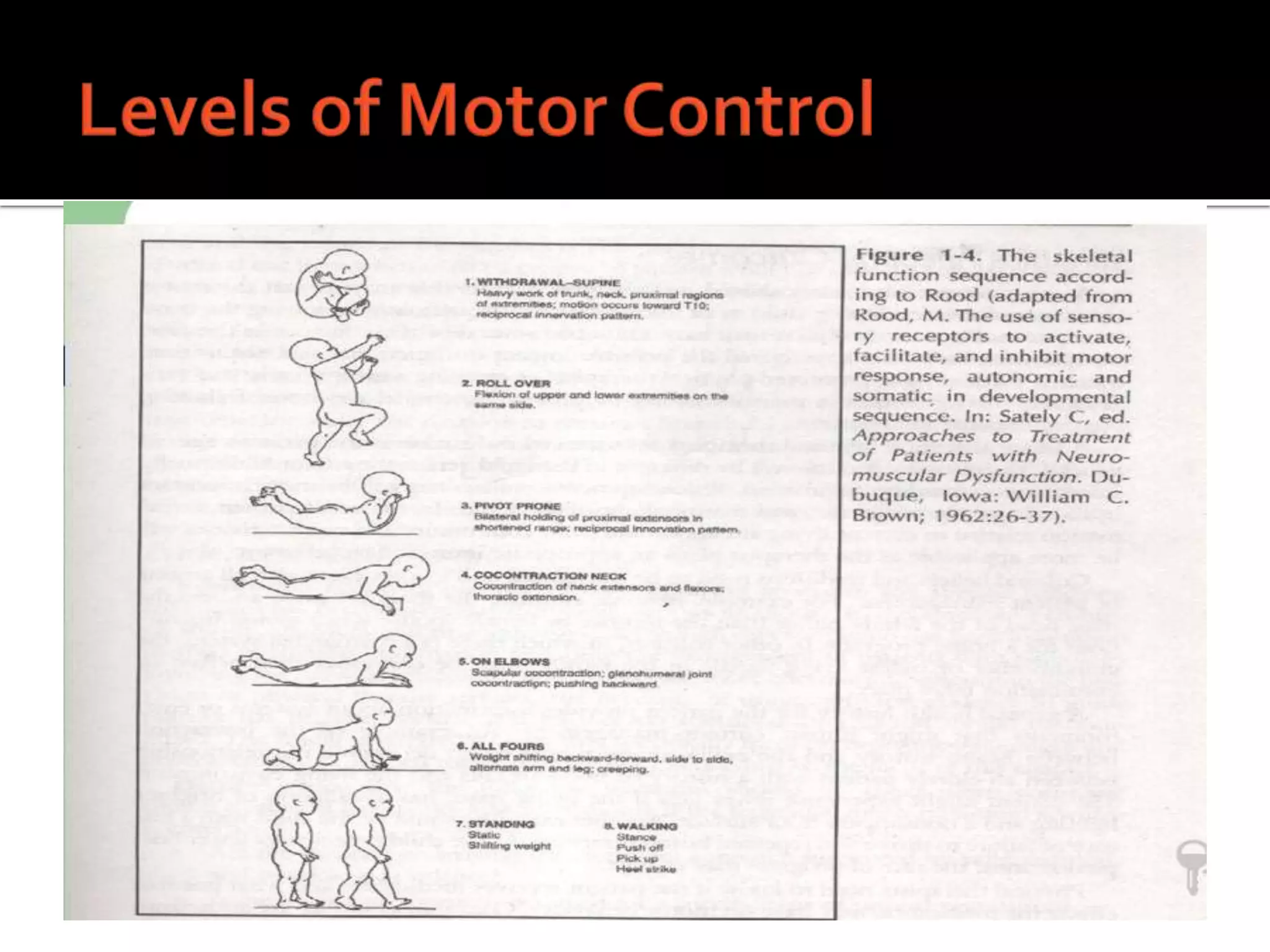 Roods approach | PPTX
