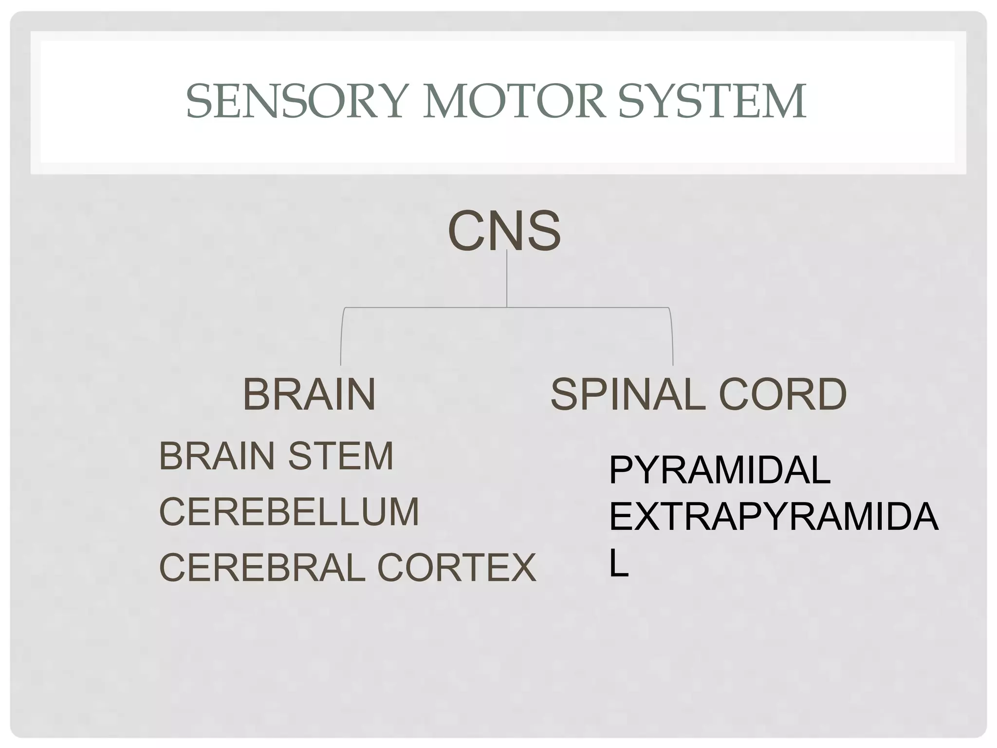 Roods approach a For Neuro Physiotherapy | PPTX