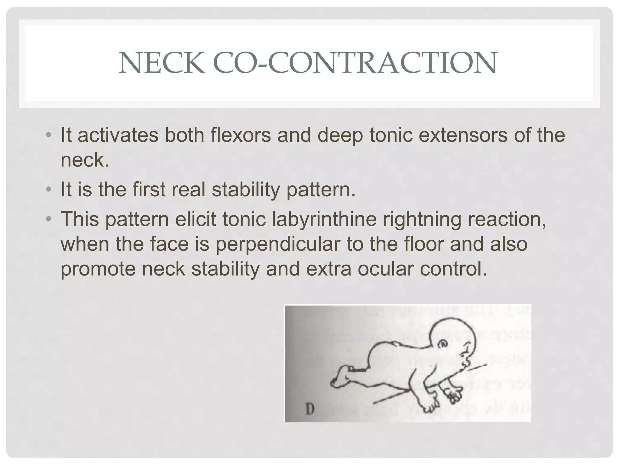 Roods approach a For Neuro Physiotherapy | PPTX