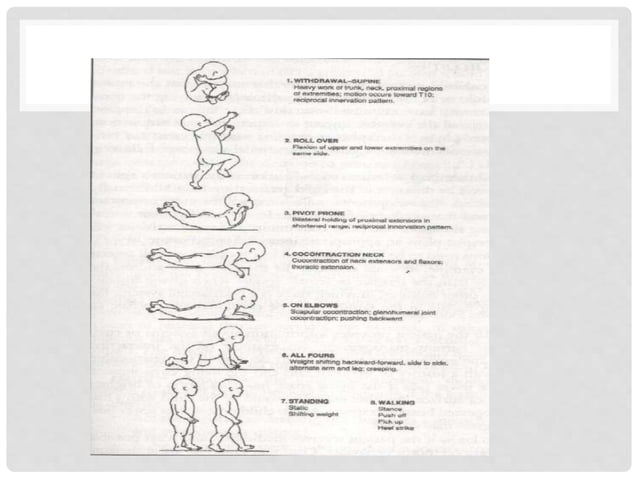 Roods approach a For Neuro Physiotherapy | PPTX