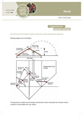 Roof structures explained | PDF