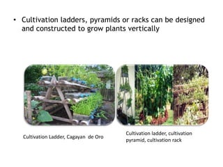 Roof garden n vertical garden | PPTX