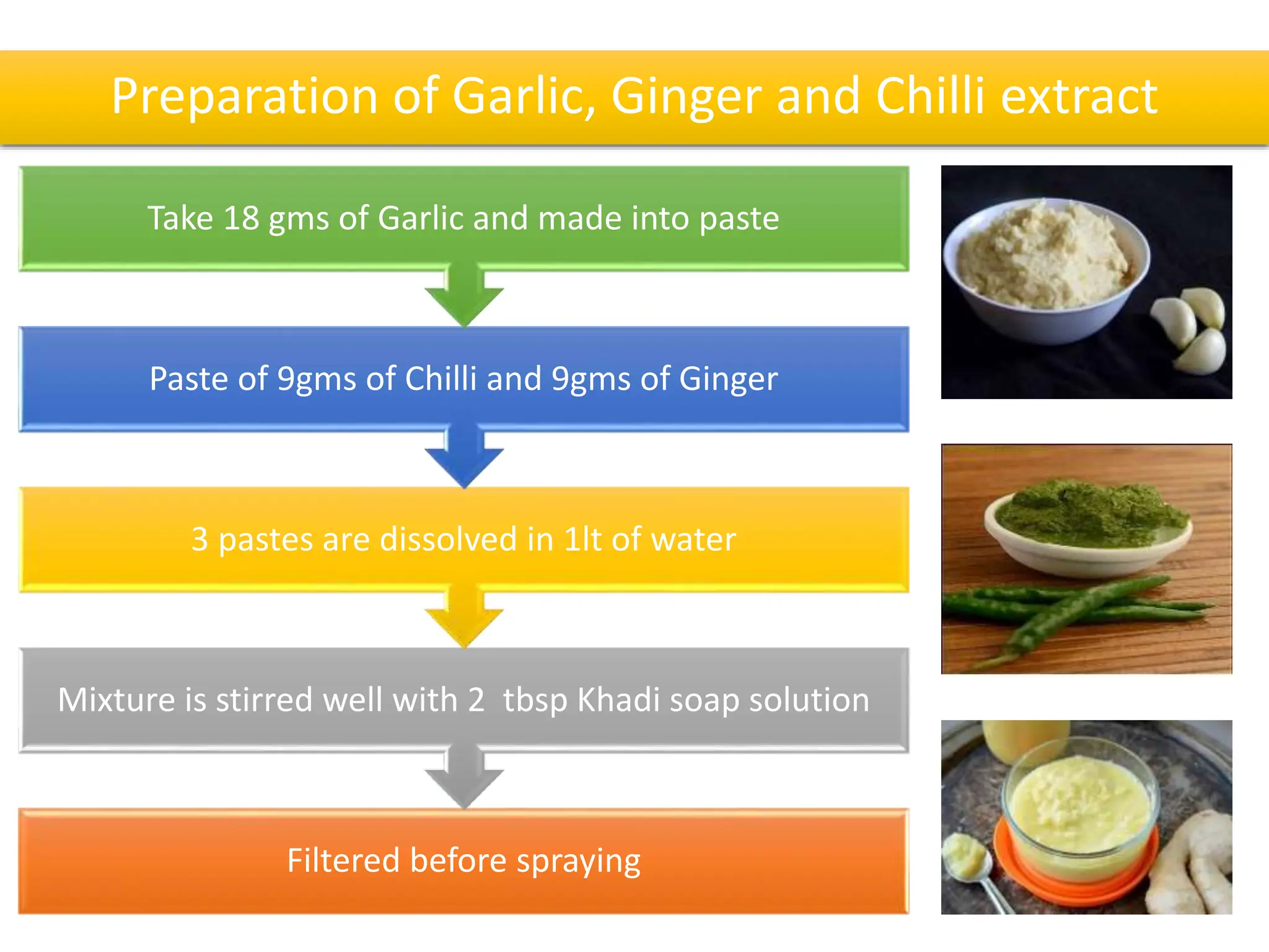 A TRAINING ON ROOF OR TERRACE GARDENING | PPTX