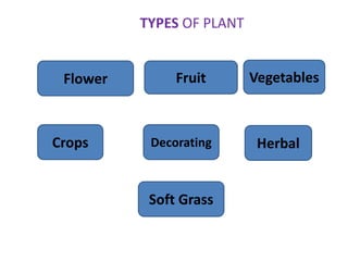 Roof garden(2) | PPTX