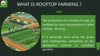 A Practical Insight to Rooftop Farming in Urban Areas | PPTX
