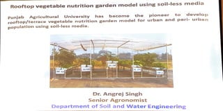 Rooftop garden ppt Dr Angrej singh by punjab agricultural university.pdf