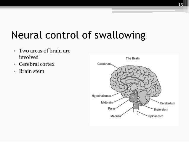 physiology of deglutition by ROOHIA