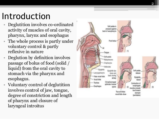 physiology of deglutition by ROOHIA