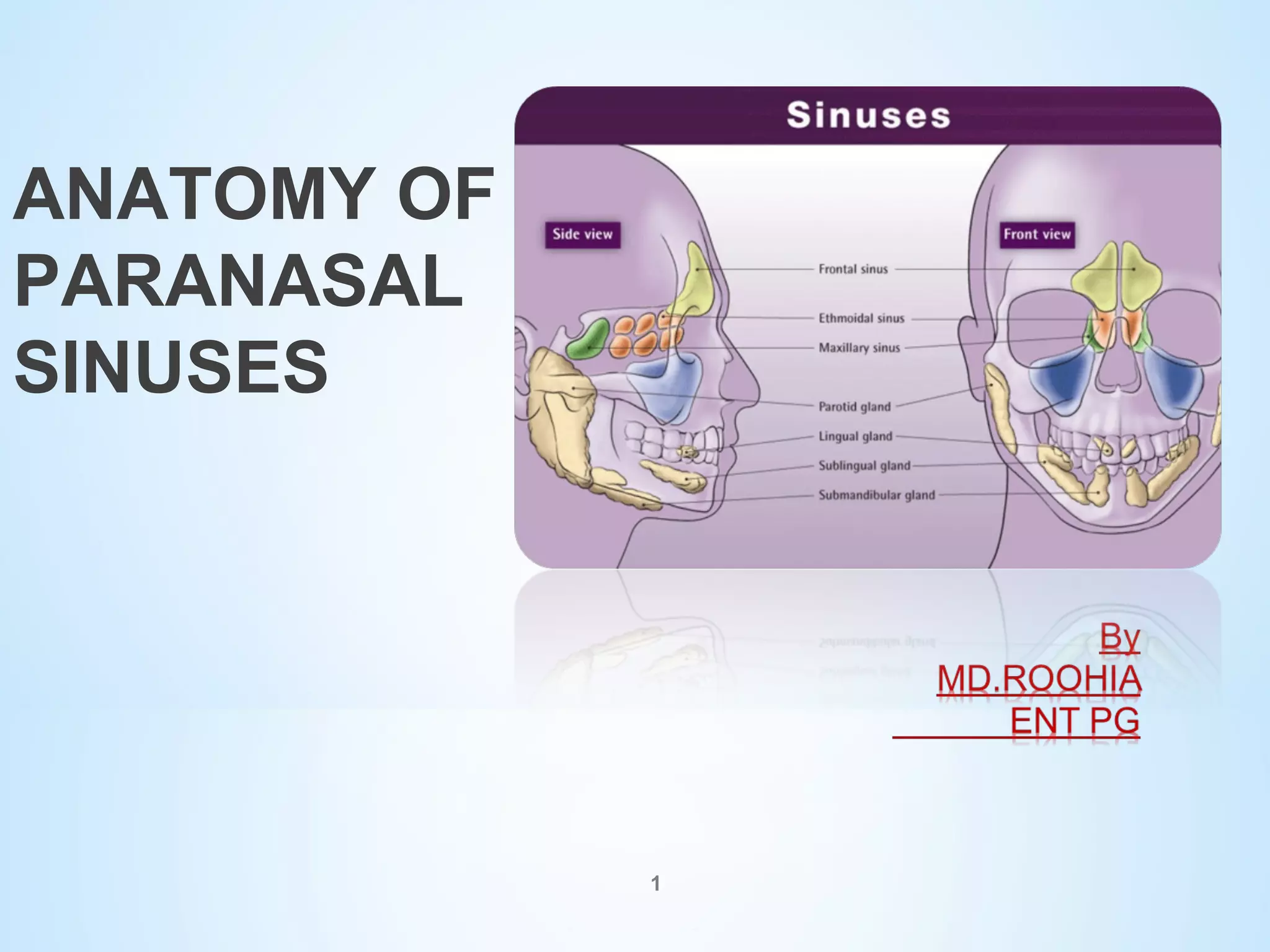 ANATOMY OF PNS BY ROOHIA | PPT