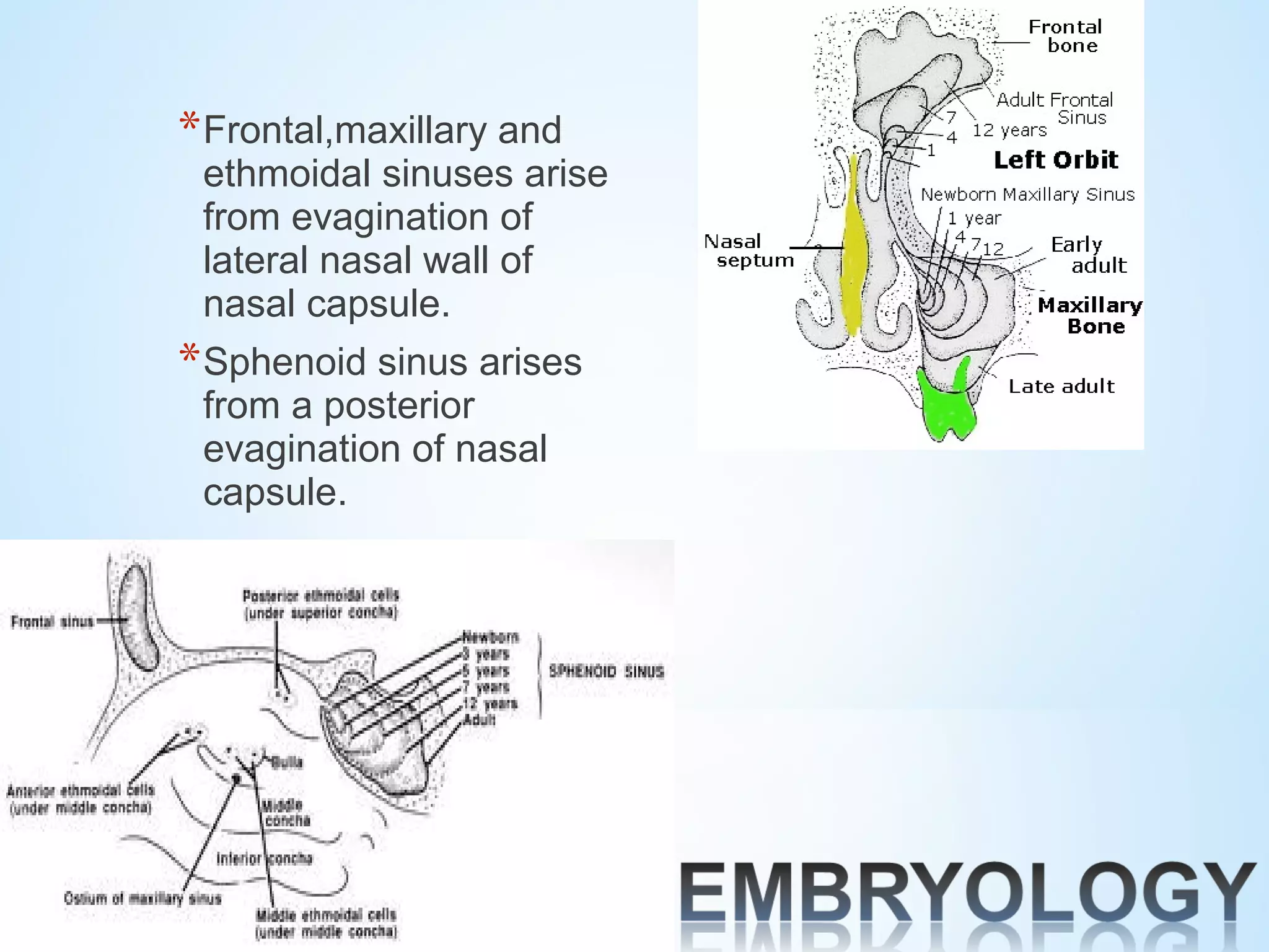 ANATOMY OF PNS BY ROOHIA | PPT