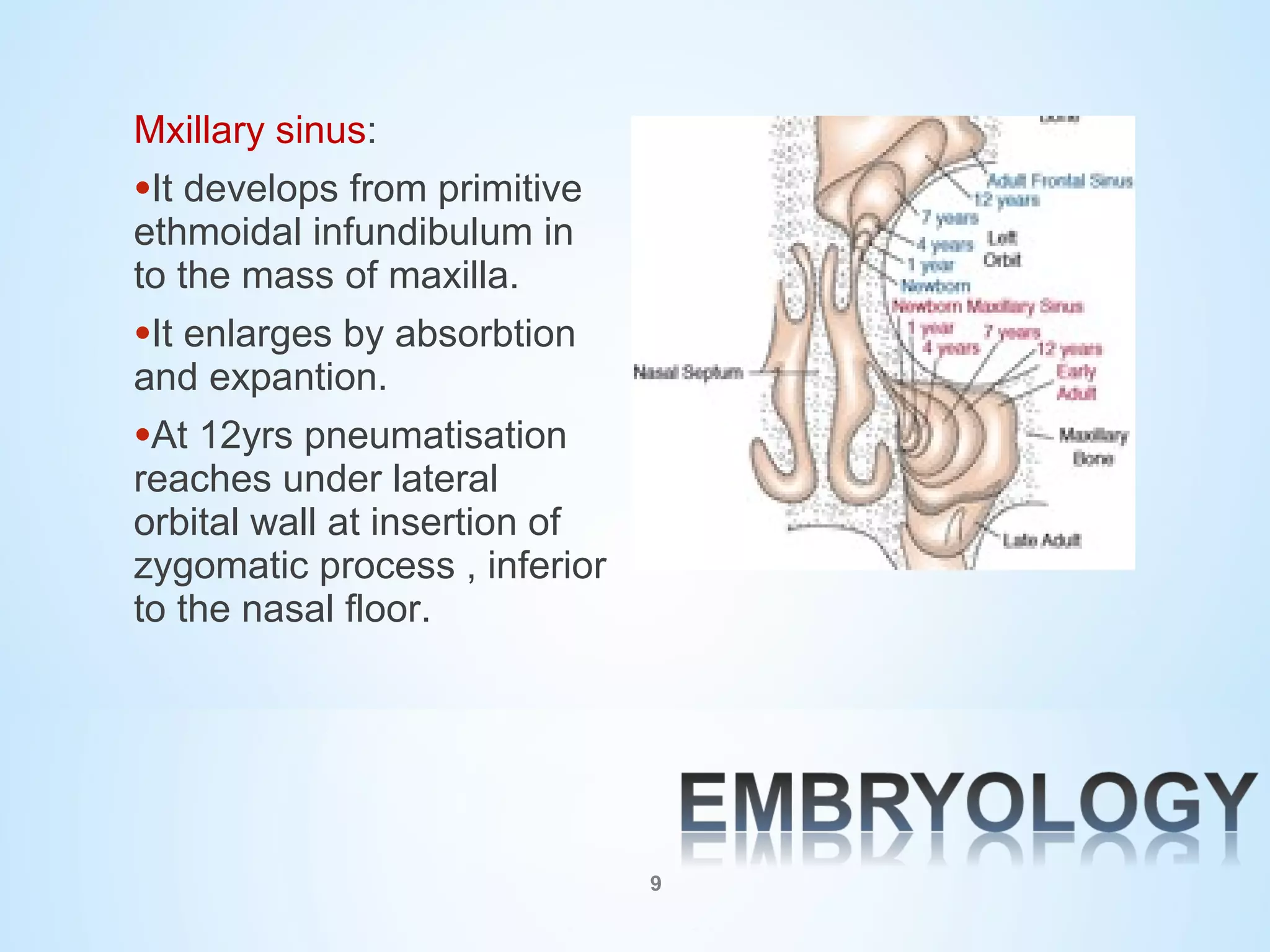 ANATOMY OF PNS BY ROOHIA | PPT