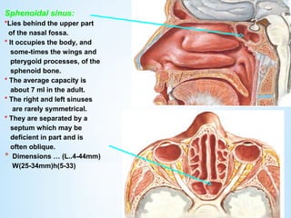 ANATOMY OF PNS BY ROOHIA | PPT