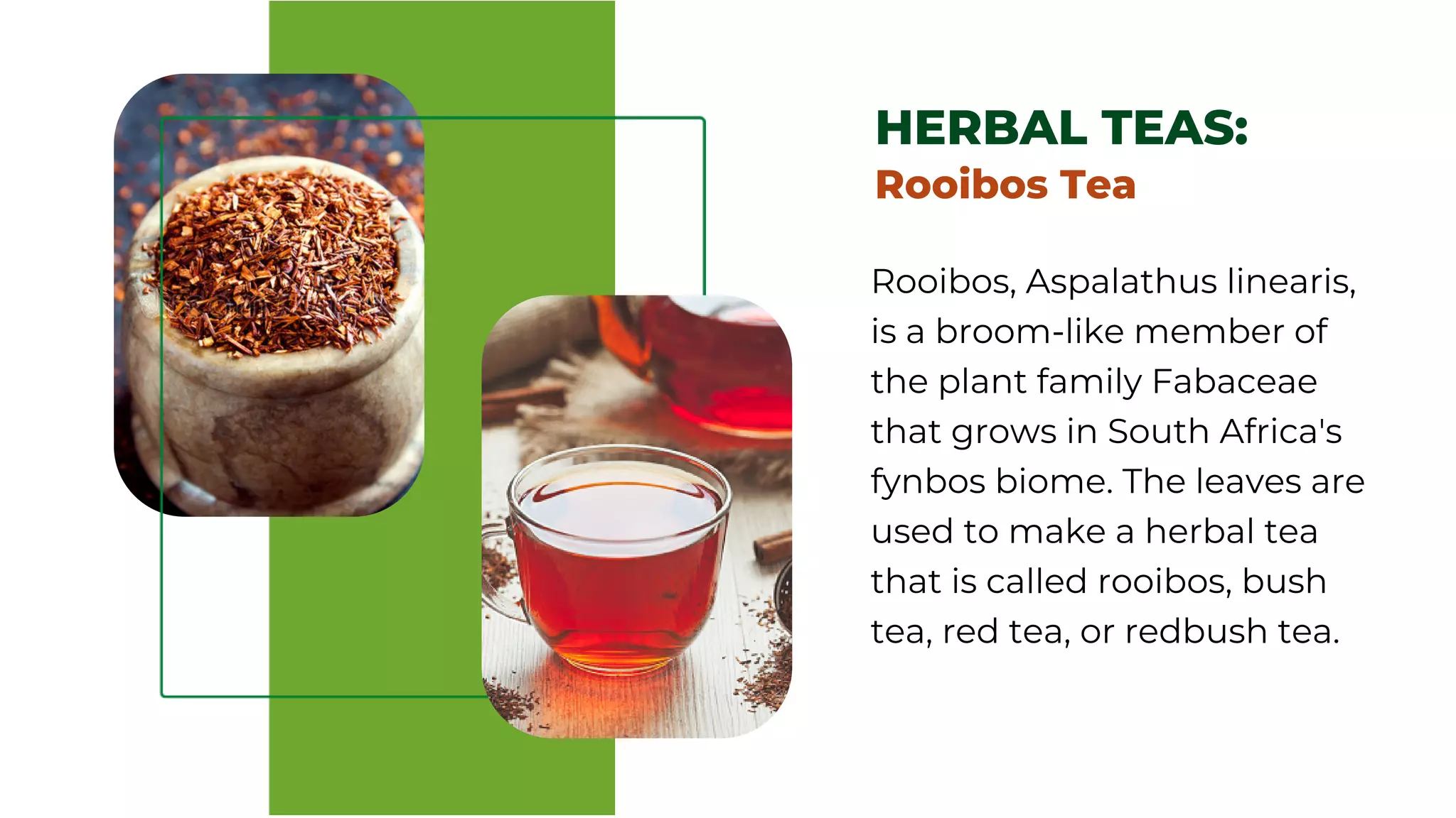 Tea World Herbal Teas:-Rooibos Tea | PPT