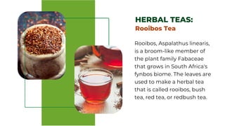 Tea World Herbal Teas:-Rooibos Tea | PDF