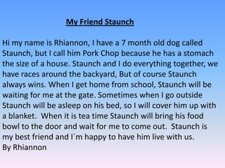 Room 22 and there animal adventures | PPTX | Cats | Pets