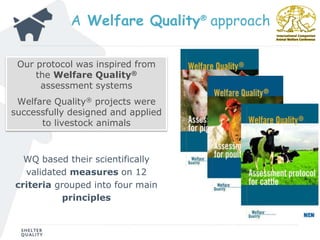 ICAWC 2014 - Workshop Shelter Quality Protocol Part 1 - Shanis Barnard ...