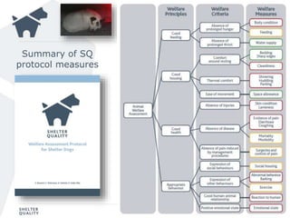 ICAWC 2014 - Workshop Shelter Quality Protocol Part 1 - Shanis Barnard ...
