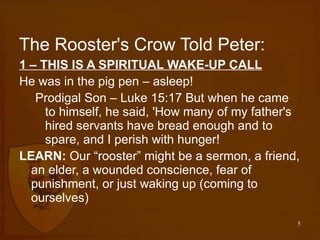 Rooster woke up peter | PPT