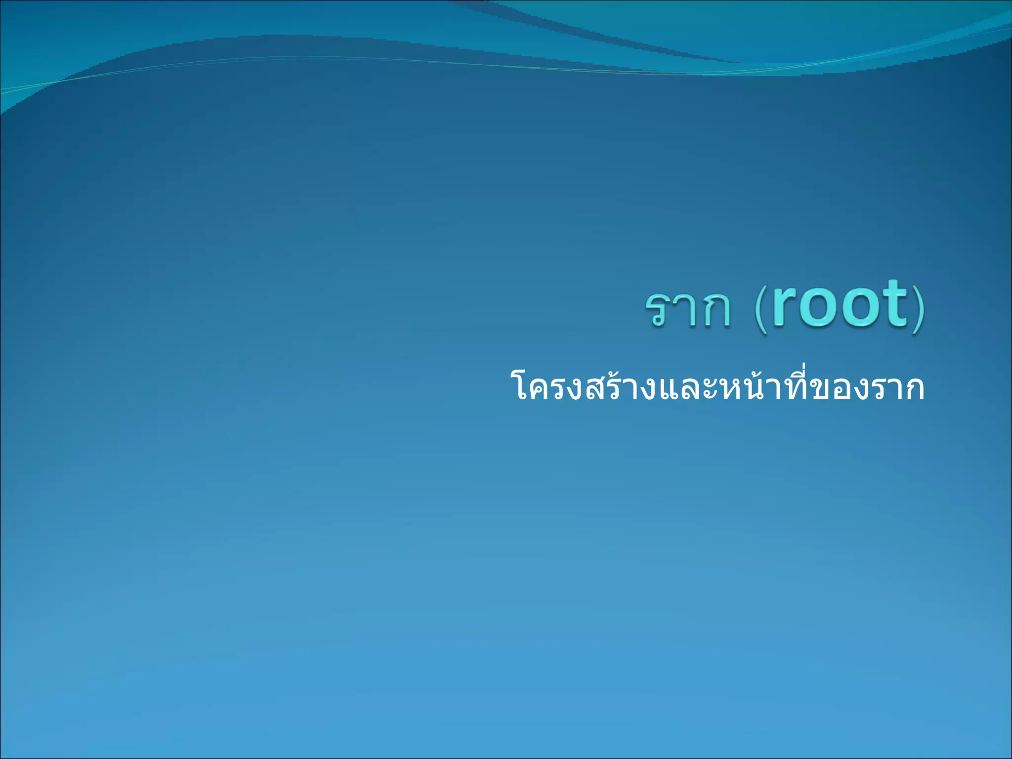 ราก (Root) | PPT