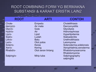 Root | PPT