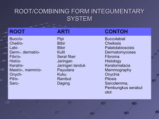 Root | PPT