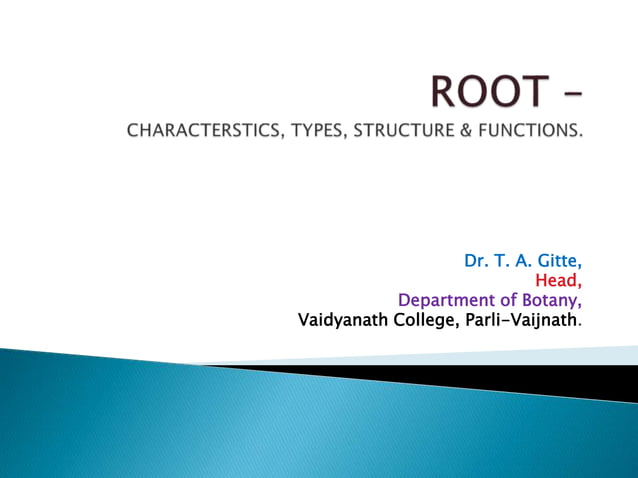 Root - Characteristics, types, Structure & Functions | PPTX