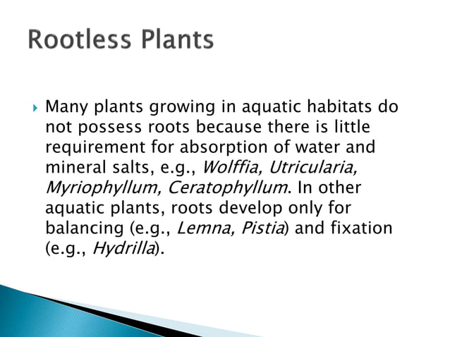 Root - Characteristics, types, Structure & Functions | PPTX