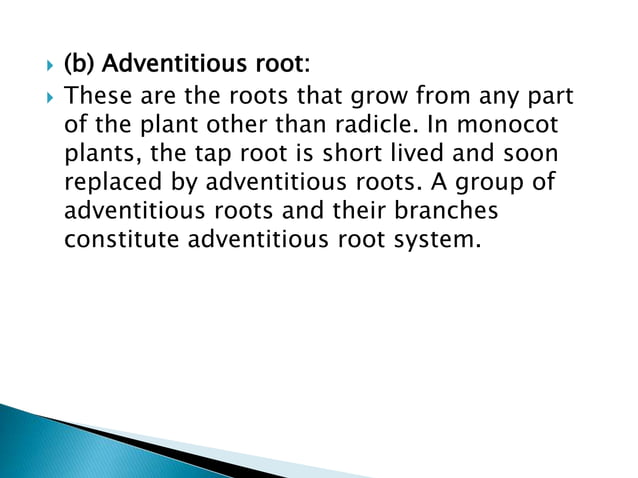 Root - Characteristics, types, Structure & Functions | PPT