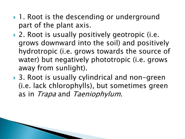Root - Characteristics, types, Structure & Functions | PPT | Free Download