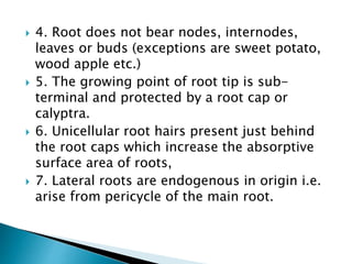 Root - Characteristics, types, Structure & Functions | PPTX