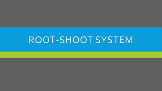 Root shoot system | PPTX | Gardening | Home & Garden