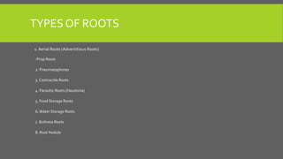 Root shoot system | PPTX
