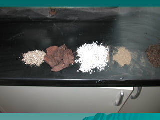 Root Substrate | PPT