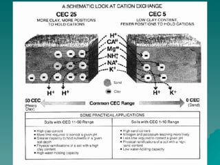 Root Substrate | PPT