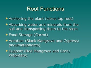 Root Substrate | PPT