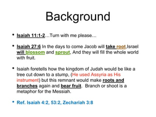 Root and Fruit (Isaiah) | PPTX | Christianity | Religion & Spirituality