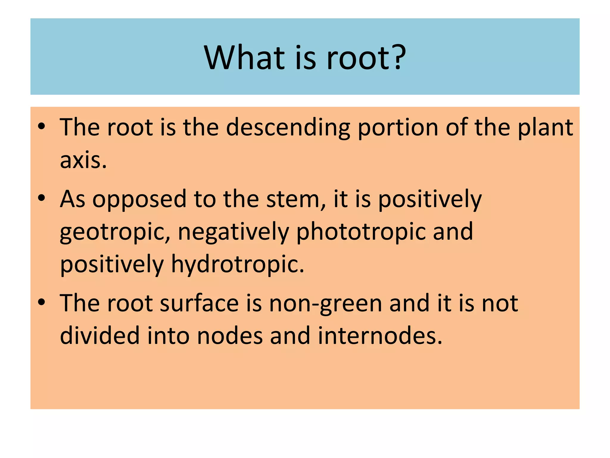 Root and its modifications | PPTX